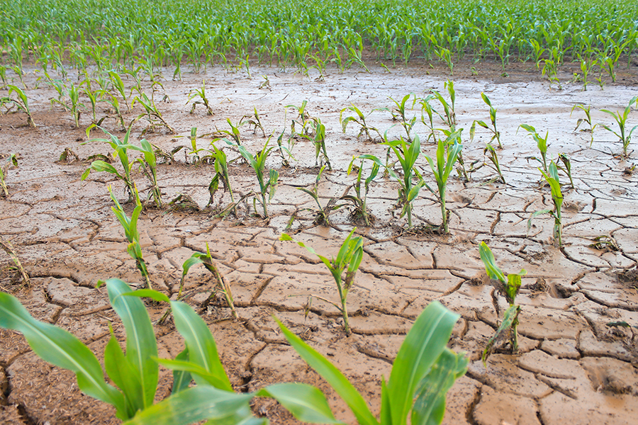 International Seminar: Monash University Researcher Joins Dicyt Usach ...